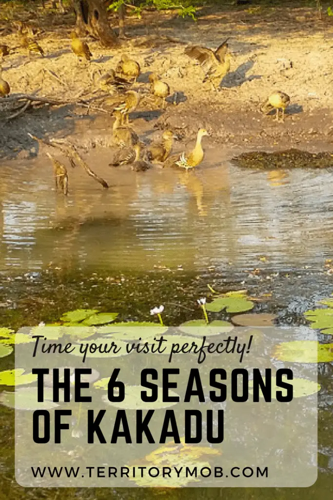 The 6 Seasons of Kakadu - time your visit perfectly | Aussie Mob