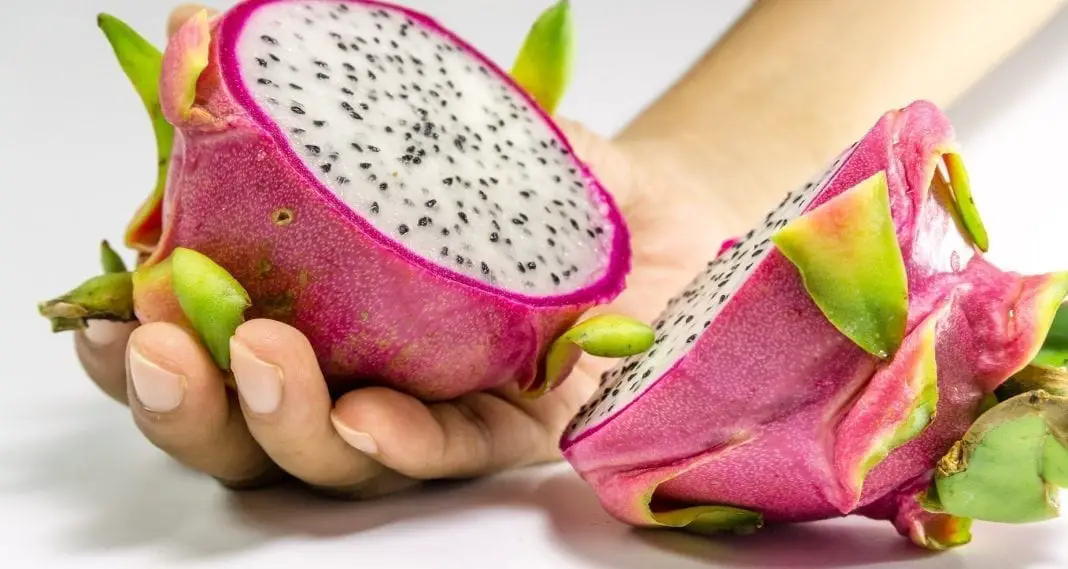 Favourite Australian Foods: 20 foods you must try | Aussie Mob