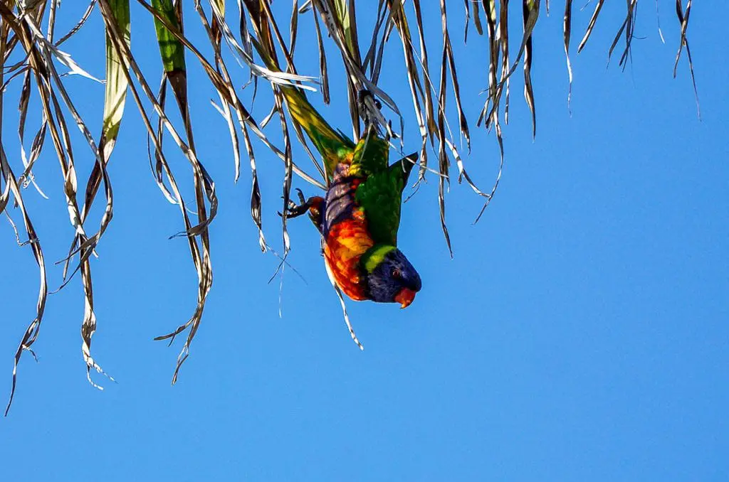 10 Best Things to do in Airlie Beach | Aussie Mob