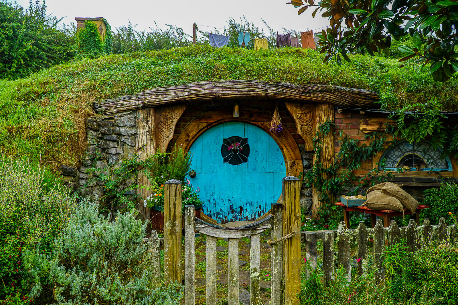 Have you visited the Hobbiton Movie Set yet? | Aussie Mob