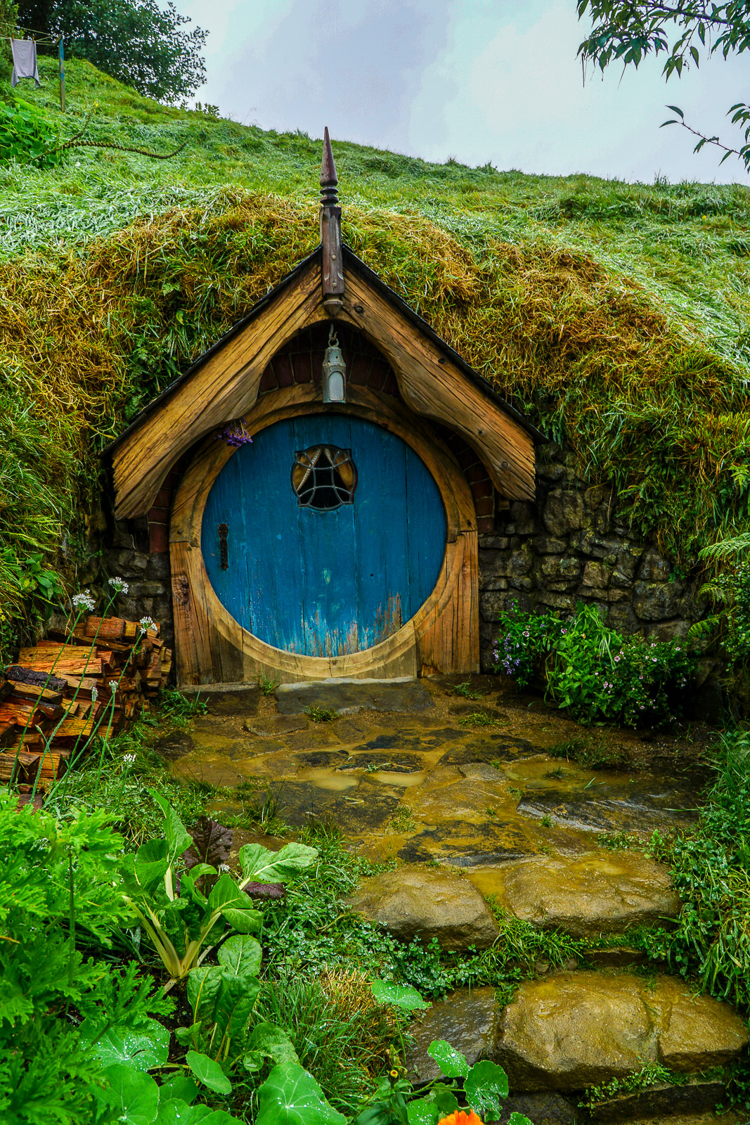 Have you visited the Hobbiton Movie Set yet? | Aussie Mob