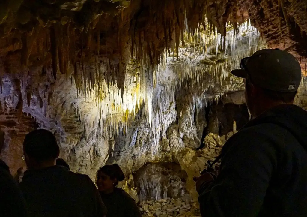 Discover Ruakuri Cave at Waitomo | Aussie Mob