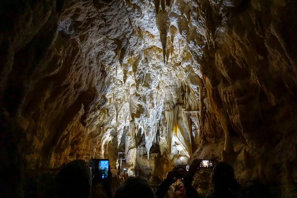 Discover Ruakuri Cave at Waitomo | Aussie Mob