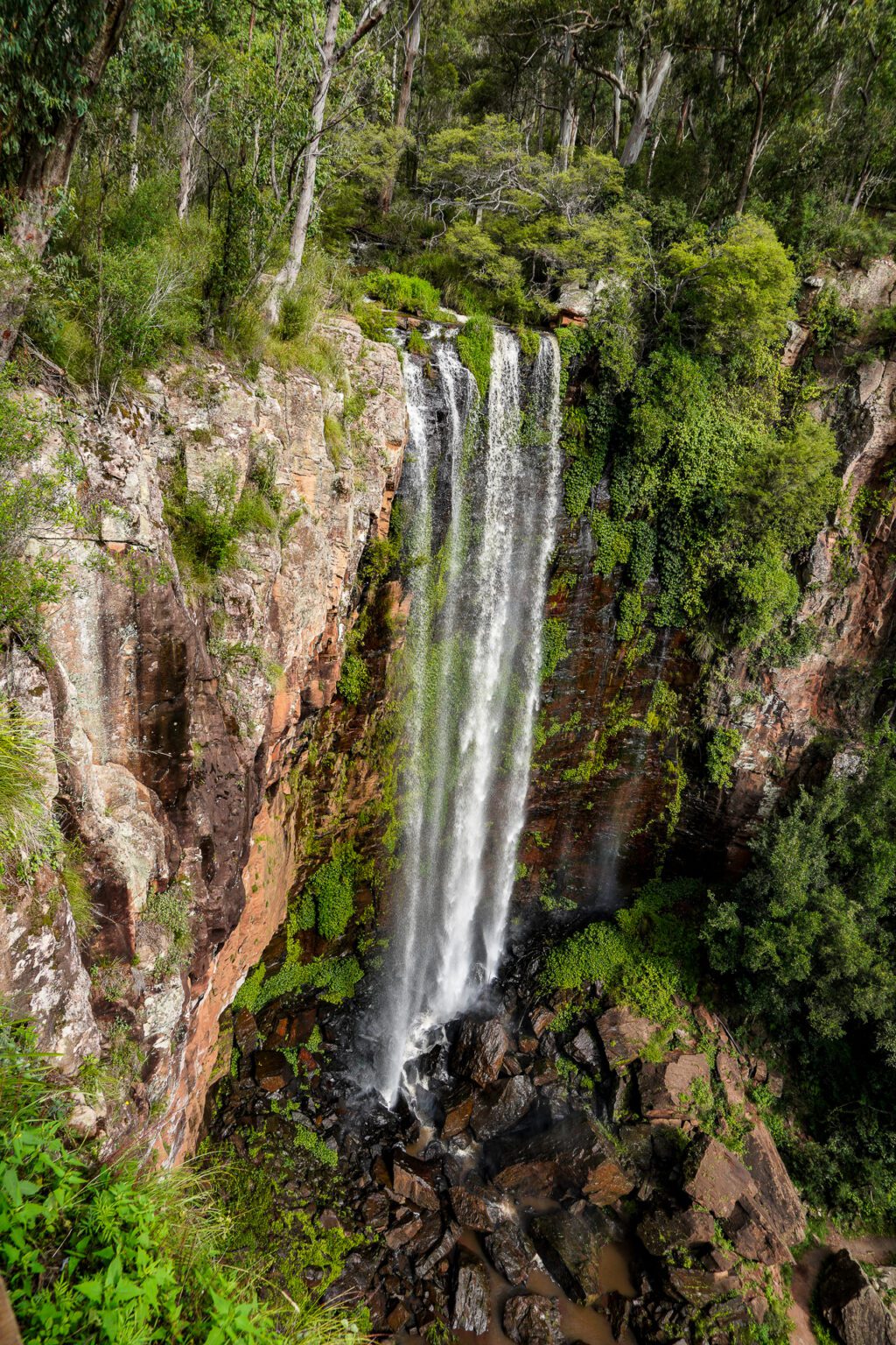 Pack a Picnic and head to Queen Mary Falls | Aussie Mob