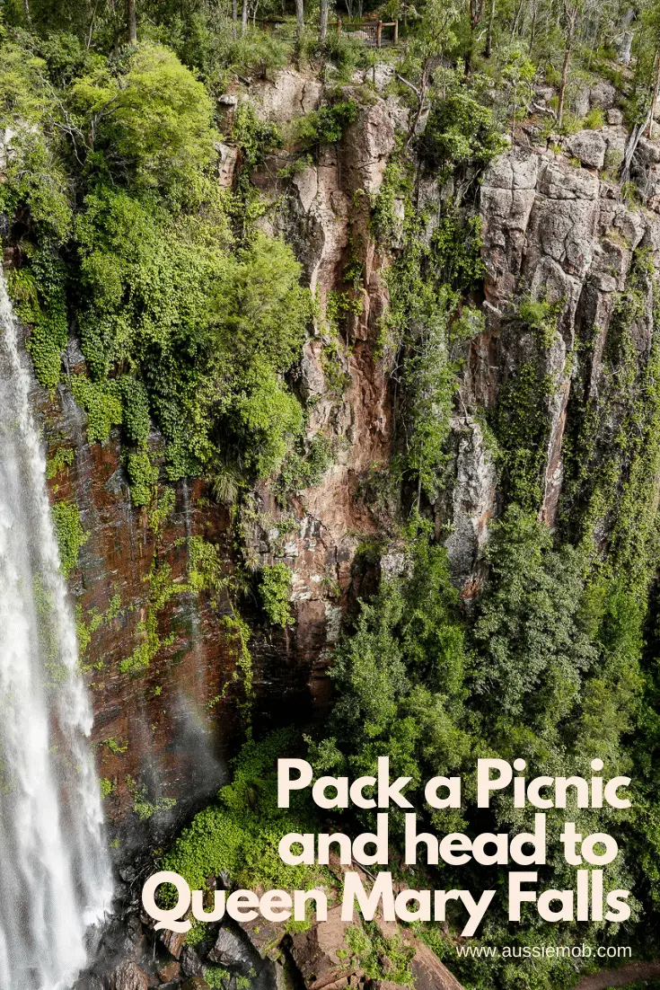 Pack a Picnic and head to Queen Mary Falls | Aussie Mob