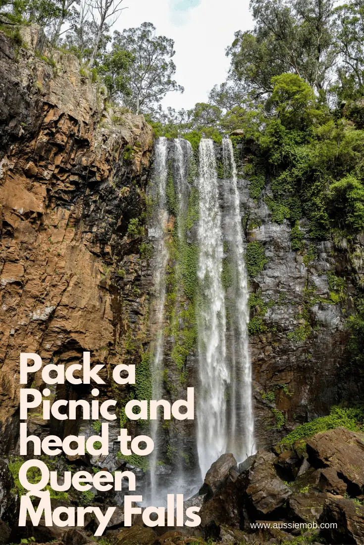 Pack a Picnic and head to Queen Mary Falls | Aussie Mob